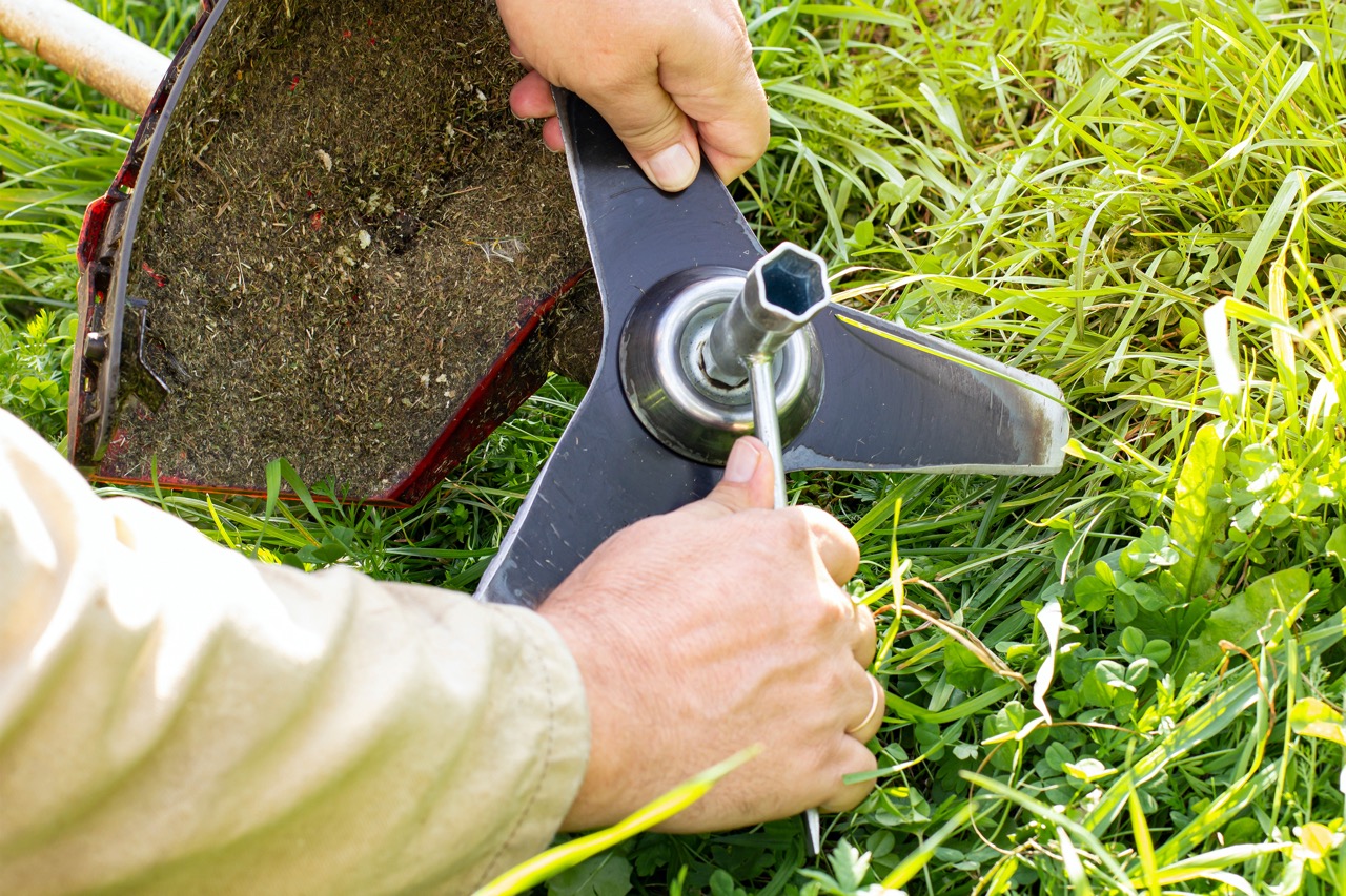 Comment choisir une lame de débroussailleuse ? - Blog équip'jardin